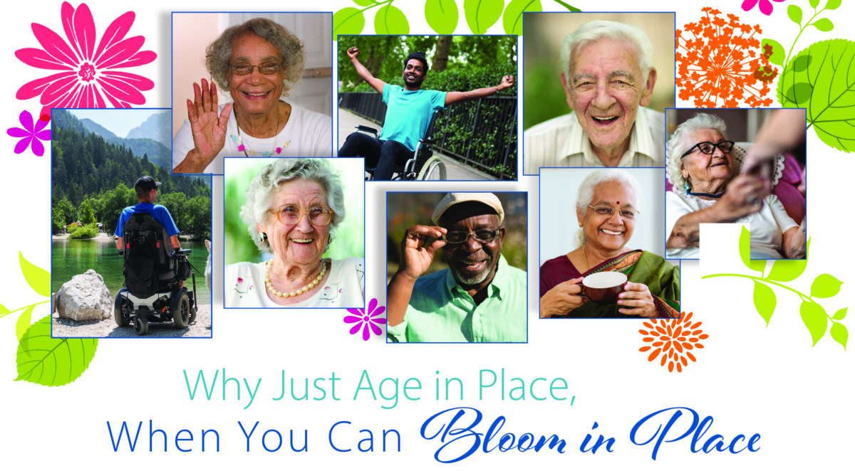 Connecticut – Companions Forever